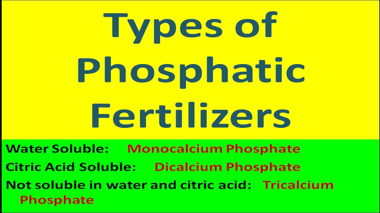 Understanding the Types of Phosphatic Fertilizers | Galaxy.ai