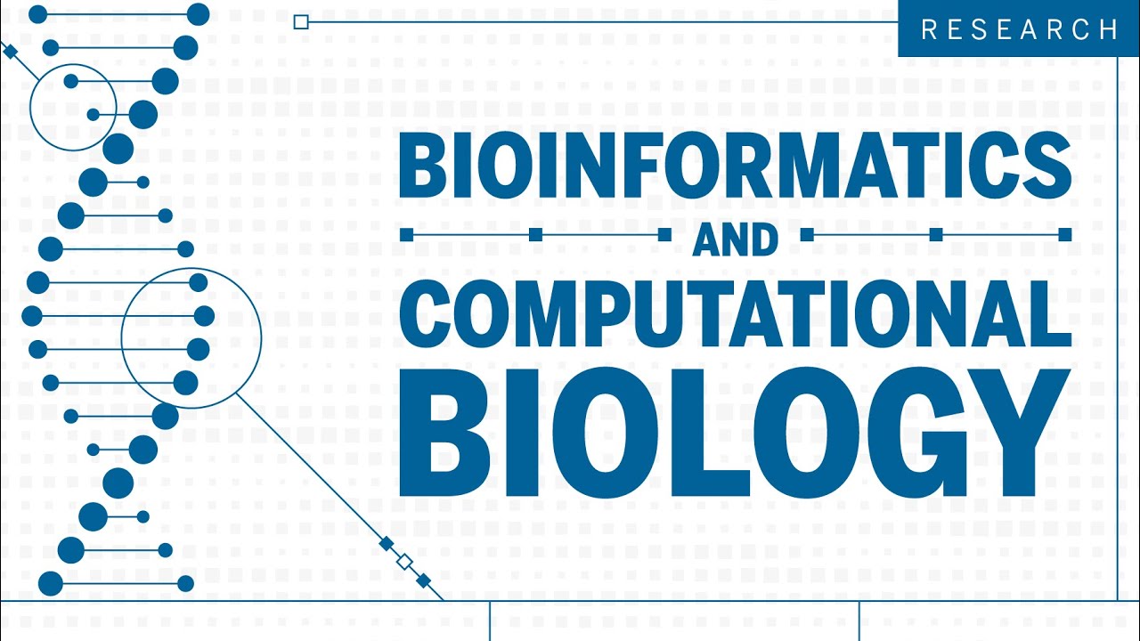 Bioinformatics and Computational Biology Research