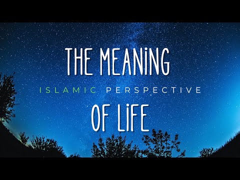 The Meaning Of Life - Islamic Perspective | Ultimate Compilation