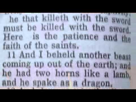 1147 Revelation 13 Chronological Bible (The Leopard and Lamb)