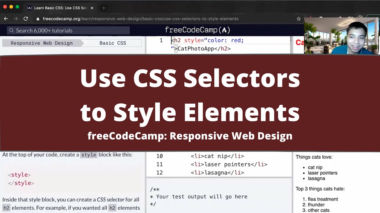 Use CSS Selectors to Style Elements (Basic CSS) freeCodeCamp tutorial