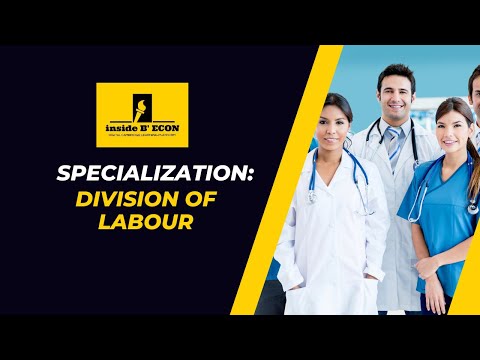 Specialization: Division of Labour Explained | Inside B'ECON