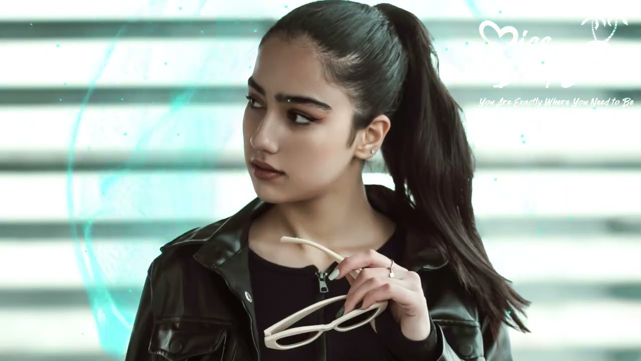 Lyrics & Translations of HIDDEN SIGN by Amir Nazari | Popnable