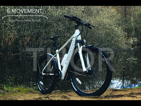 Thor e-Bike Launches as the Only Affordable High-Tech Bike, the Road ...