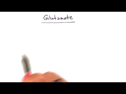 Dopamine hypothesis of schizophrenia - Intro to Psychology