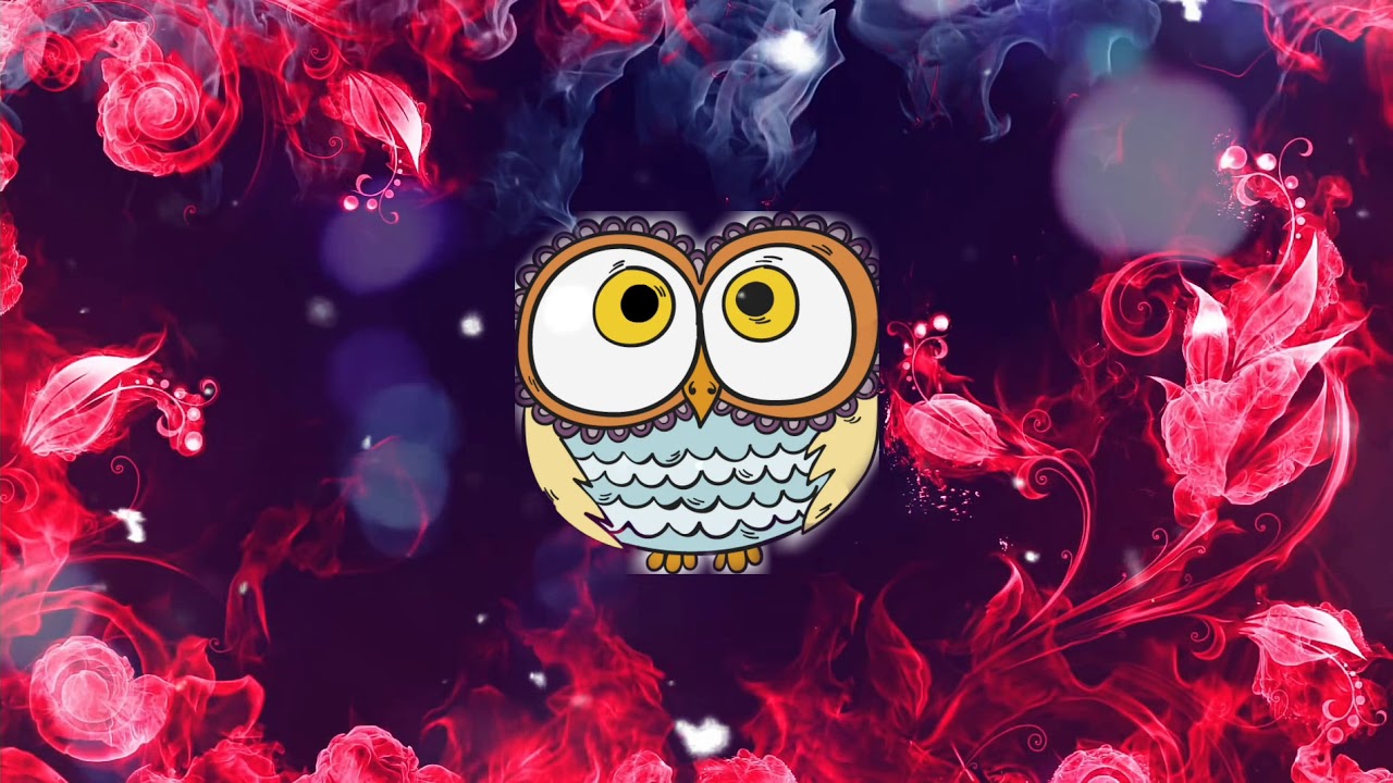 [OFFICIAL]MUSIC OF DATA IS BEAUTIFUL 🦉