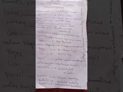 scientific names of some common animals, neem plant and mango tree||
