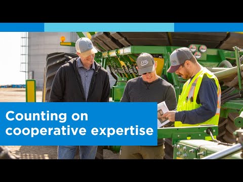 Counting on cooperative expertise