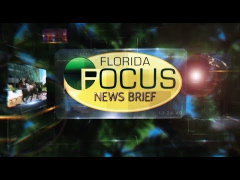 Florida Focus Celebrates 20 Years – Zach Wilcox Reporter Portfolio