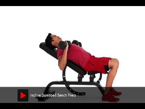 Incline Dumbbell Bench Press Exercise