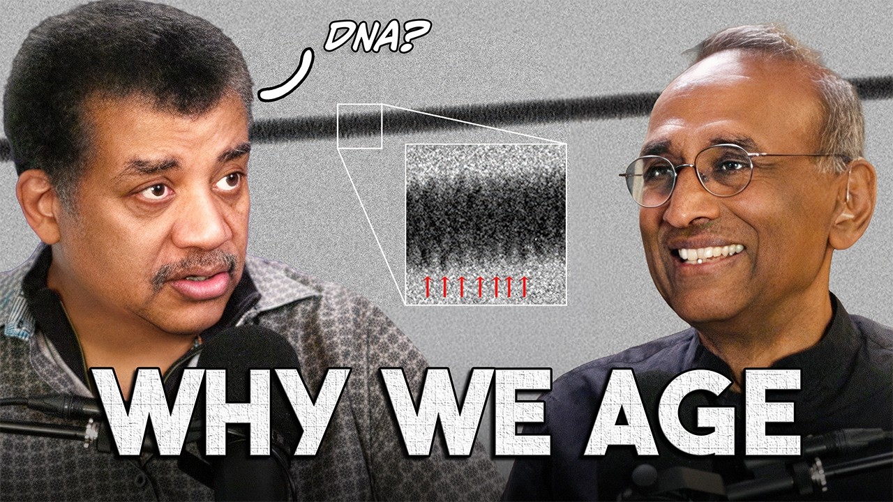 Are We Programmed to Die? The Real Science of Aging