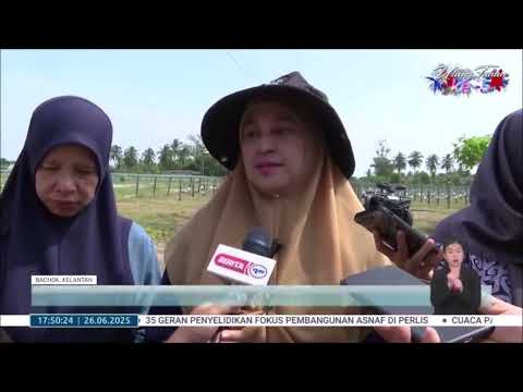 26062025 BW - PROJEK TANAMAN BAWANG BERSKALA BESAR:JAMIN BEKALAN,KURANG KEBERGANTUNGAN PRODUK IMPORT