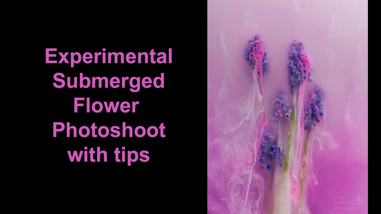 Experimental Submerged flower photography - Ethereal Grape Hyacinths