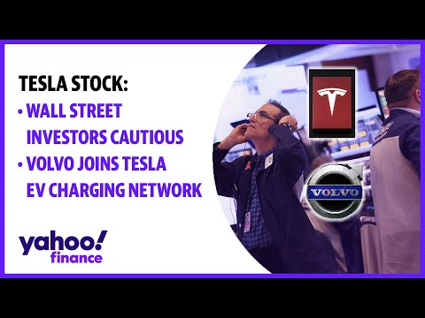 Tesla stock 'egregiously overvalued,' says analyst