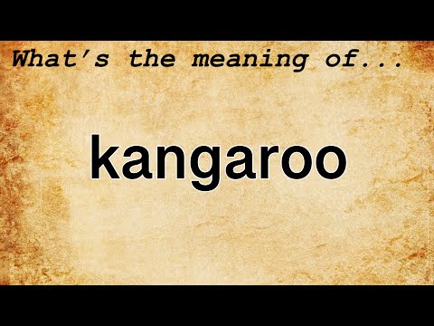Kangaroo Meaning : Definition of Kangaroo