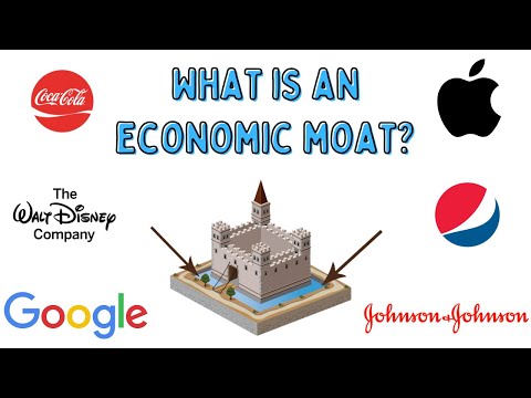 What is an economic moat?