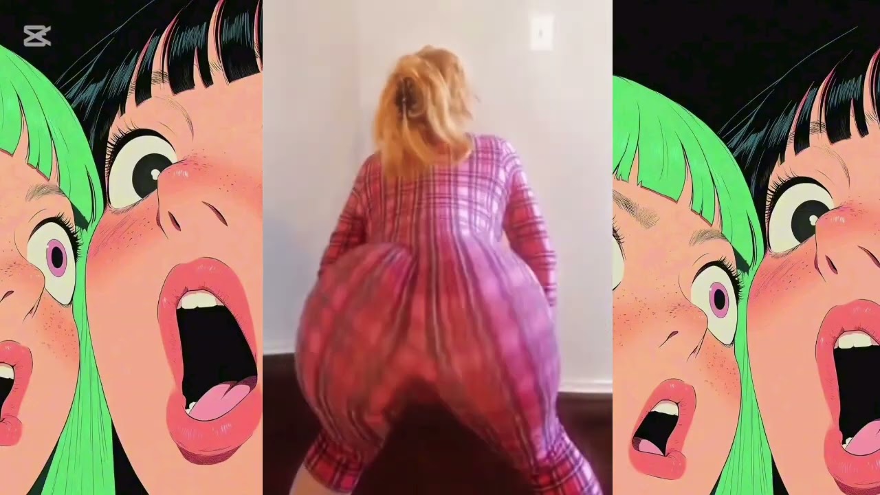 BIG BOOTY TWERK COMPILATION# 4 (TWERKING)