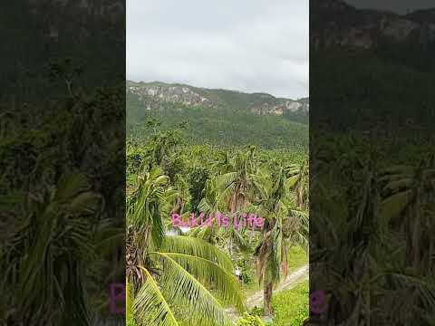 Why is Nature not an Art?