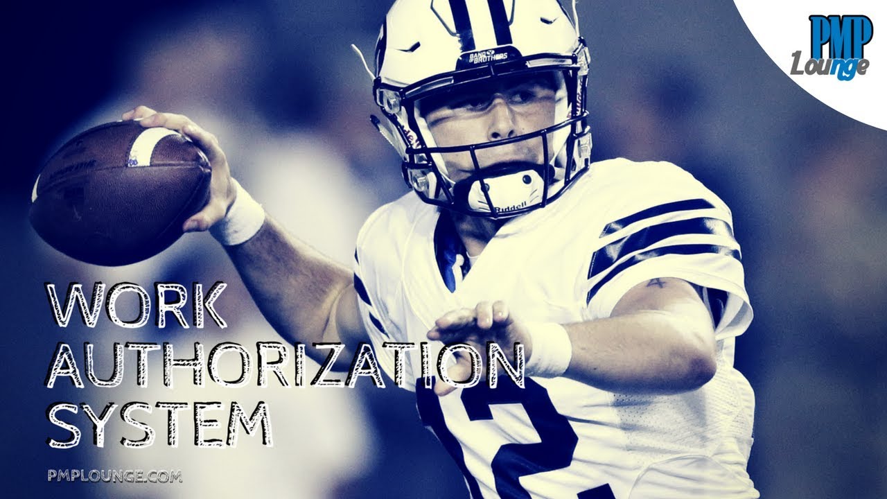 Work Authorization System