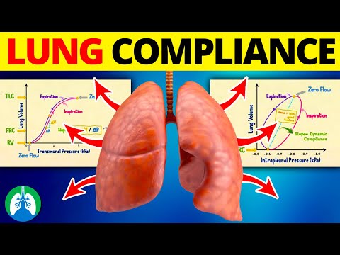 Lung Compliance (Medical Definition) | Quick Explainer Video