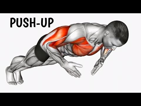 Best PUSH-UP workout at home |