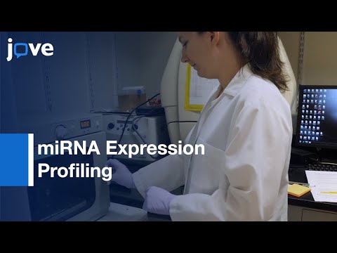 Tissue-specific miRNA Expression Profiling by ISH | Protocol Preview