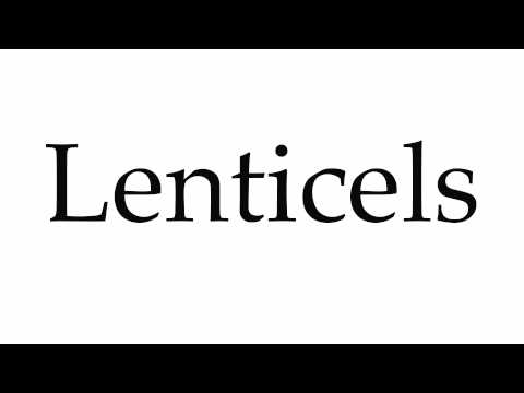 How to Pronounce Lenticels