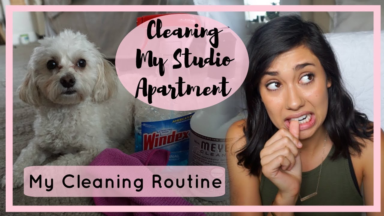 STUDIO APARTMENT CLEANING ROUTINE | How Long It Takes to Clean My Studio