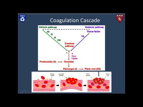 Anticoagulation for Venous Thromboembolism: Demystifying the Drugs