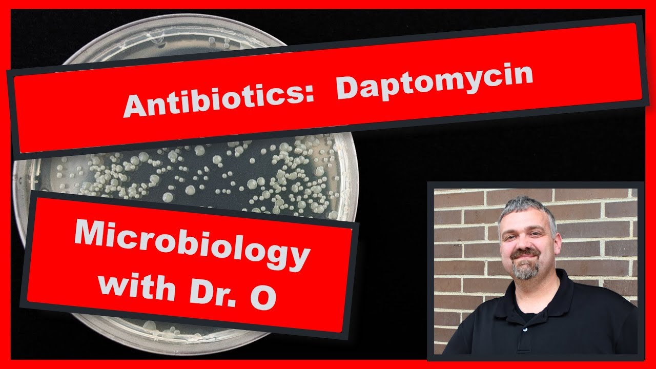 Daptomycin and VRSA:  Microbiology