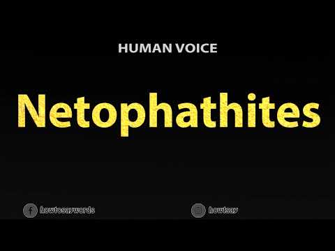 How To Pronounce Netophathites