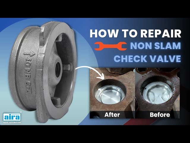 Disc Check Valves - Wafer Type Dual Plate Check Valves Manufacturer ...