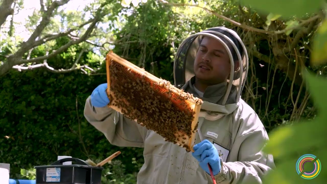 Climate Connections: Local Action for a Greener Future