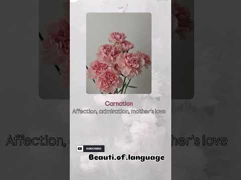 English meaning of flowers 🌺 and please subscribe to my channel 🙏🙏