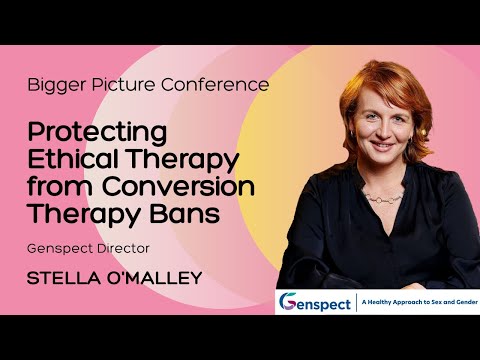 The Bigger Picture Conference: Protecting Ethical Therapy from Conversion Therapy Bans