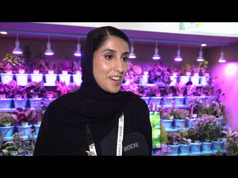 Dubai AI Festival 2025: Hessa Yahya Lootah, AI and Innovation Lead, Dubai Medical University