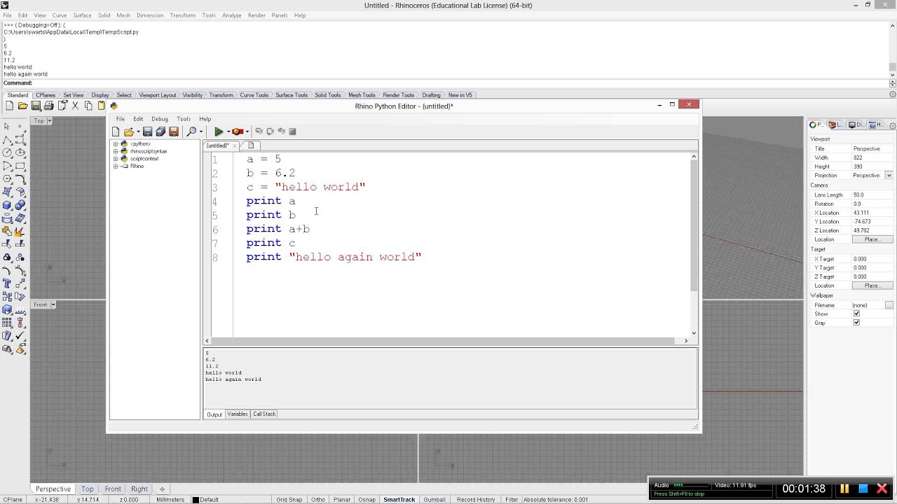 RhinoPython Variables