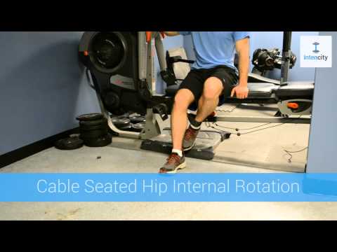Cable Seated Hip Internal Rotation | myworkouts.io