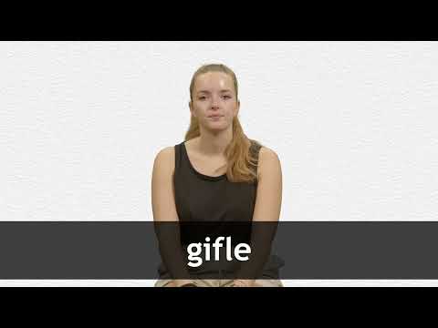 English Translation of “GIFLE” | Collins French-English Dictionary