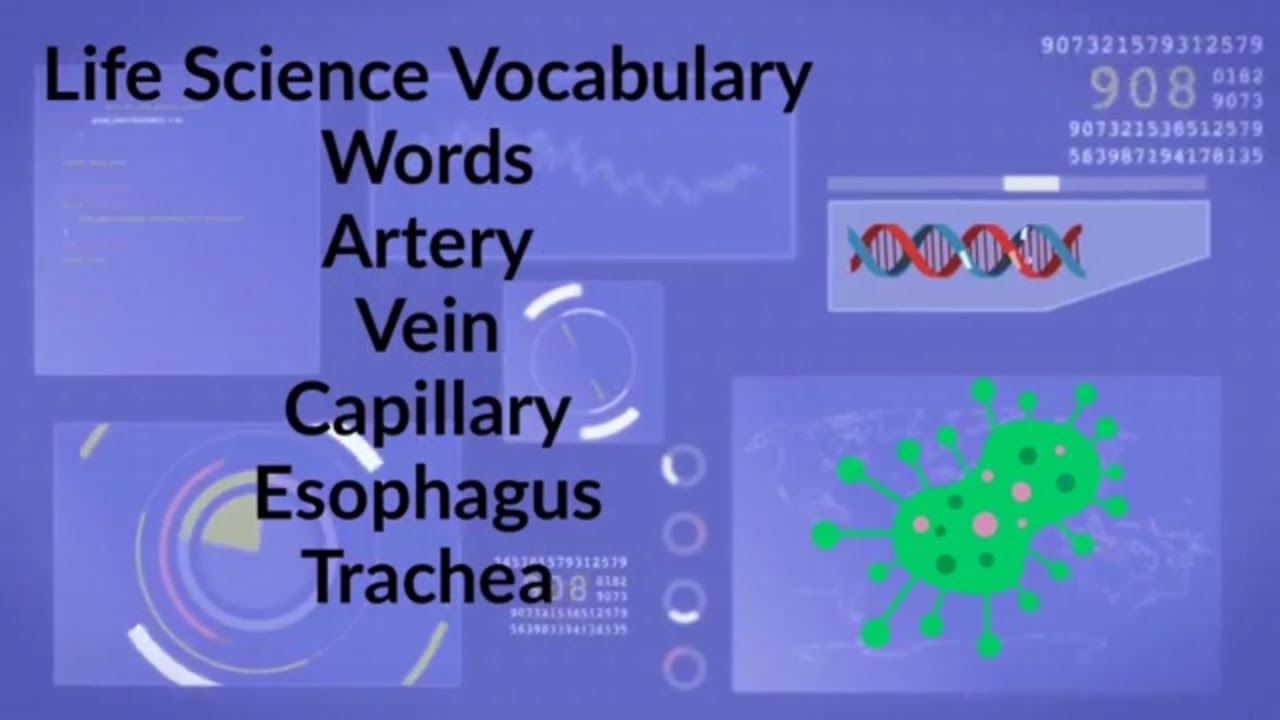 Life Science Vocabulary week 8
