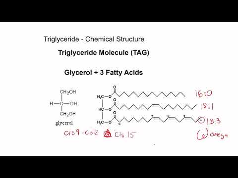 Let's Learn Food Science - Lipids in foods - Structure