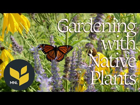 Gardening with Native Plants