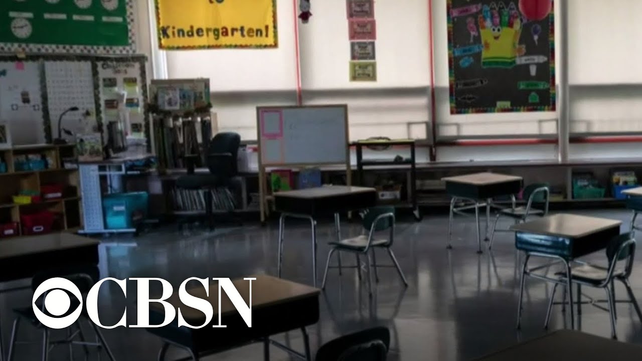 Education expert: Learning loss amid pandemic is 