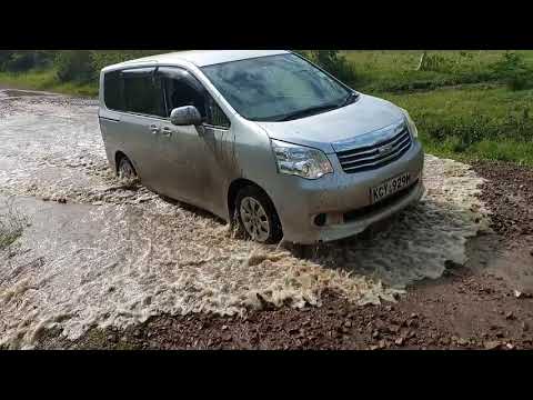 Toyota Noah is the best car in the world
