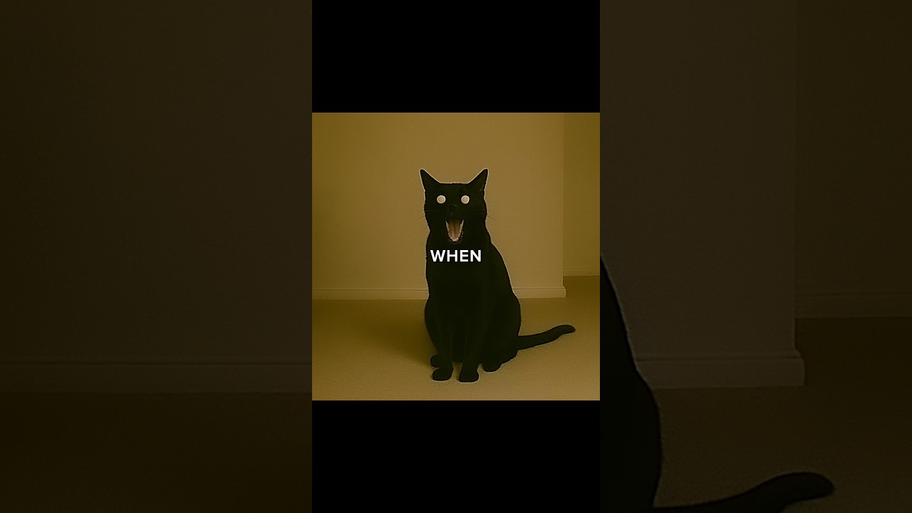 If Your Cat Meows in a Different Voice, Then Don't Respond... | #scary #backrooms #creepypasta