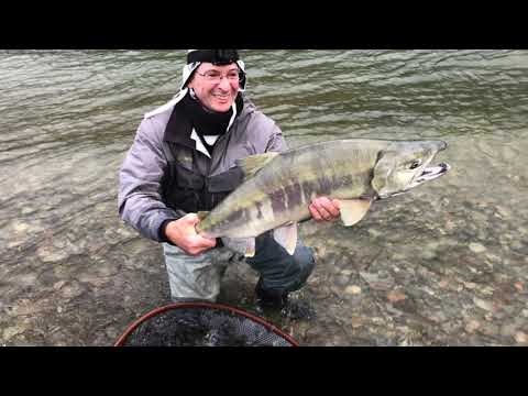 Salmon hookups too many to count !!!