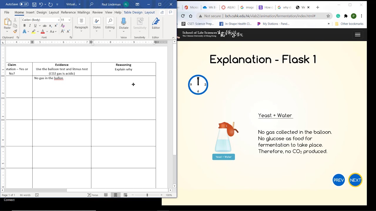 Virtual Lab   Fermentation