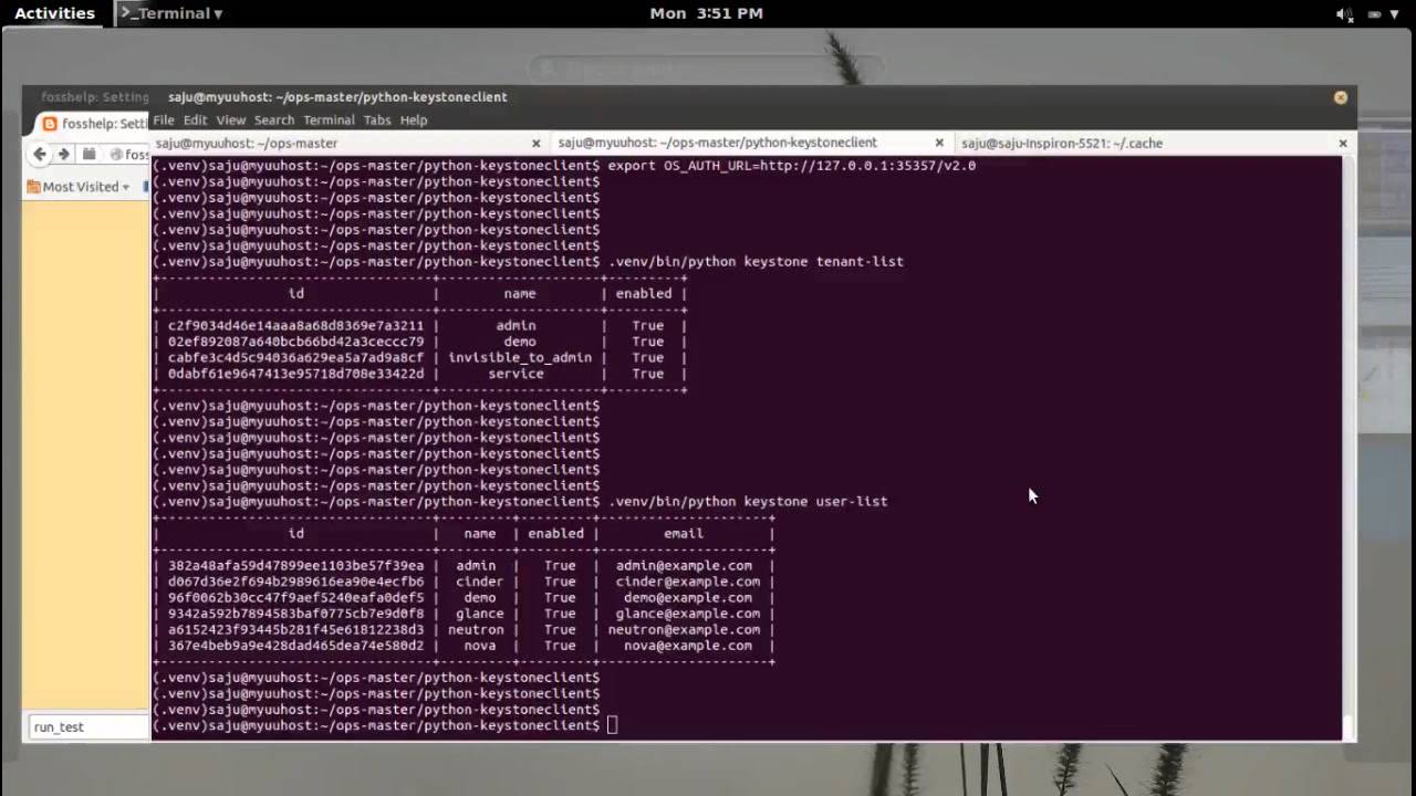 Setting Up OpenStack Python Client Development Environment