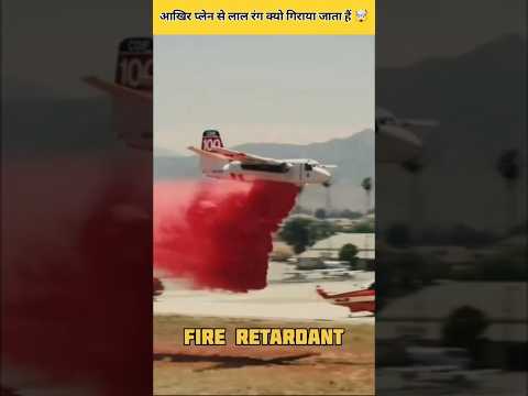 आखिर fire retardant काम क्या करता है 🤯🔥😲 @MrBeast @FactsMine #shorts #facts #youtubeshorts