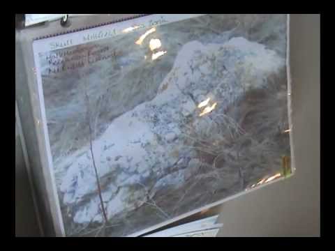 Seazoria Dragons -vs- Dinosaurs. Direct Comparisons. Truth Theorem Radio Interview Footage.